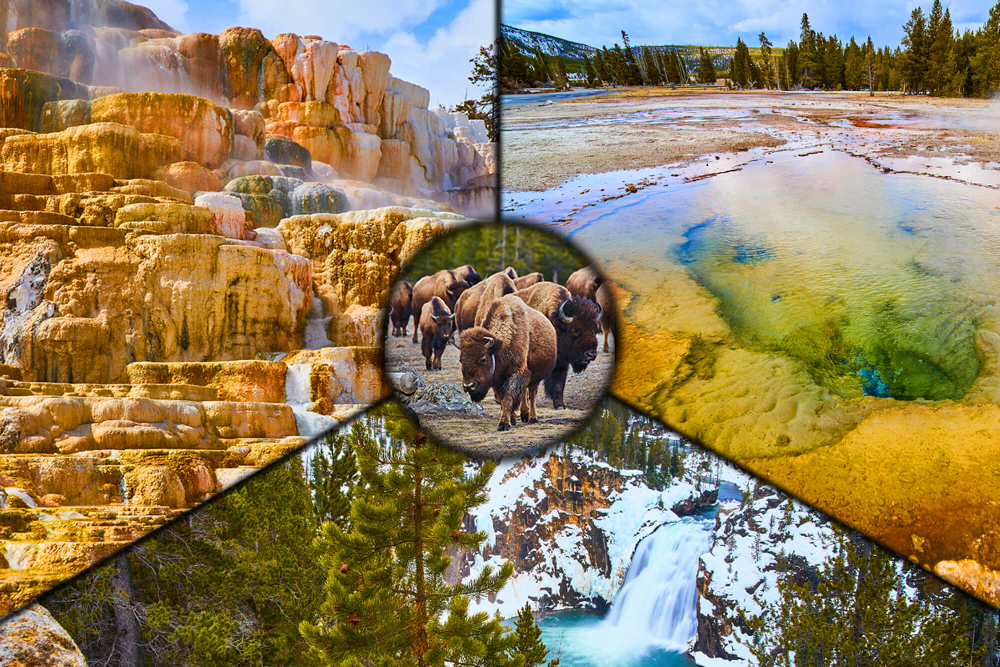 NJ Productions - Yellowstone in Spring