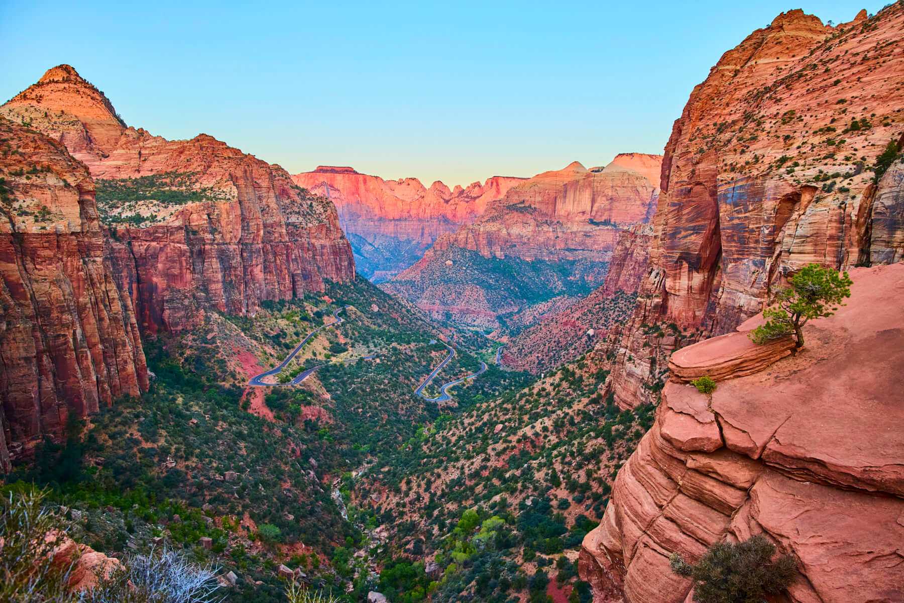 NJ Productions - Photographers Guide to Zion National Park